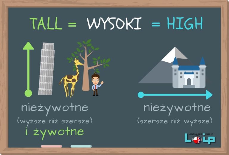 TALL czy HIGH? - Loip Angielski Online
